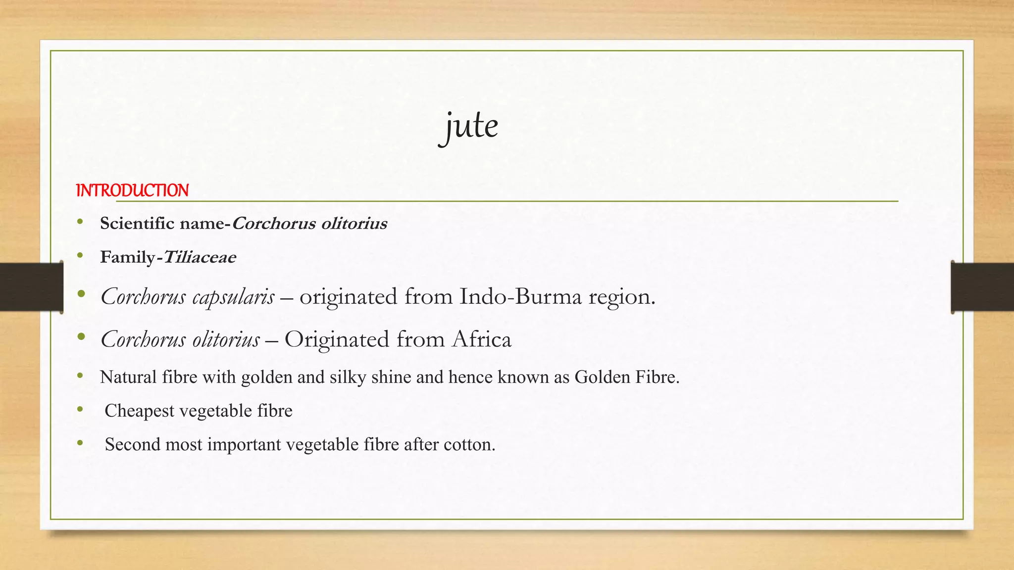Jute.pptx