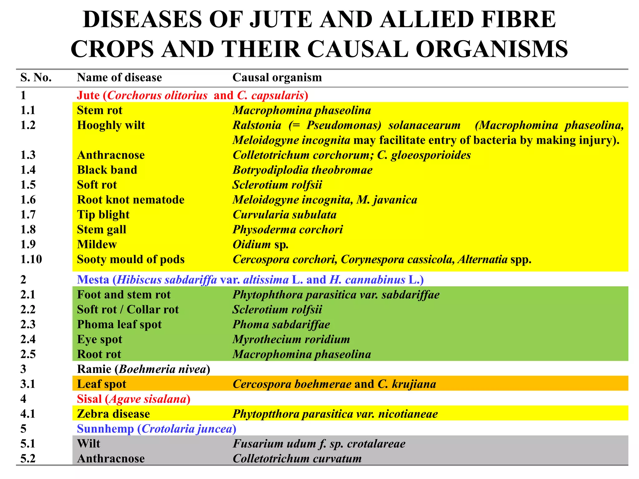 JUTE AND ALLIED FIBRES.ppt