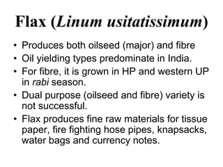 JUTE AND ALLIED FIBRES.ppt