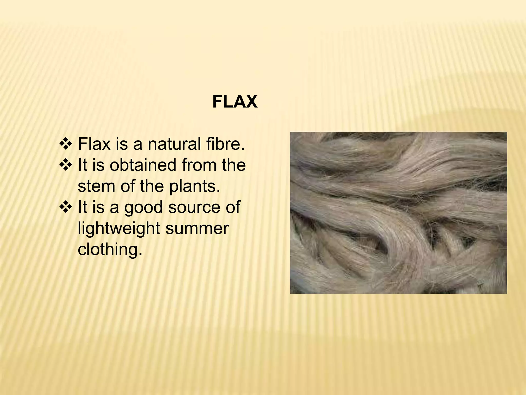 Jute and flax spinning | PPTX