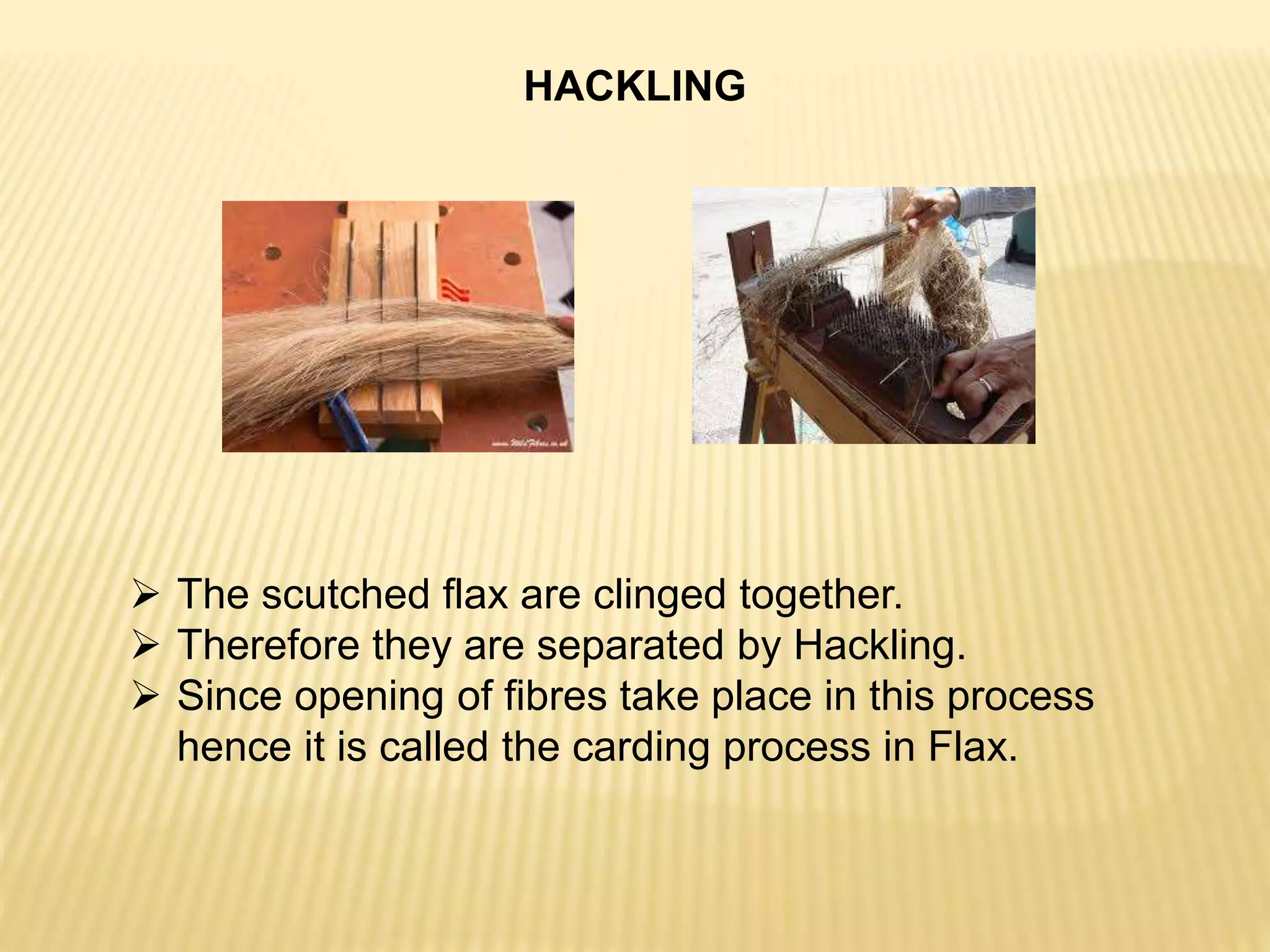 Jute and flax spinning | PPTX