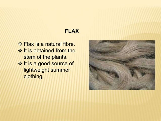 Jute and flax spinning | PPTX