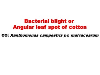 Jute & cotton diseases by zahid | PPT