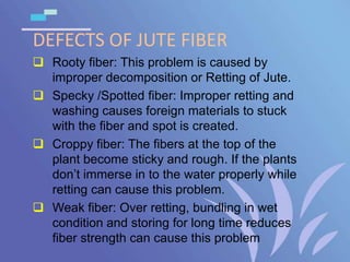 Jute fiber | PPTX