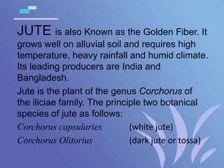 Jute fiber | PPTX