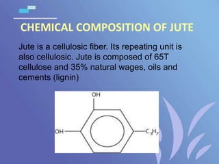 Jute fiber | PPTX