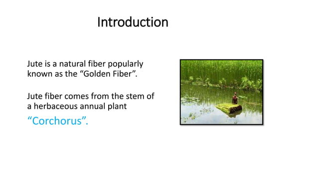 Jute Fiber | PPT