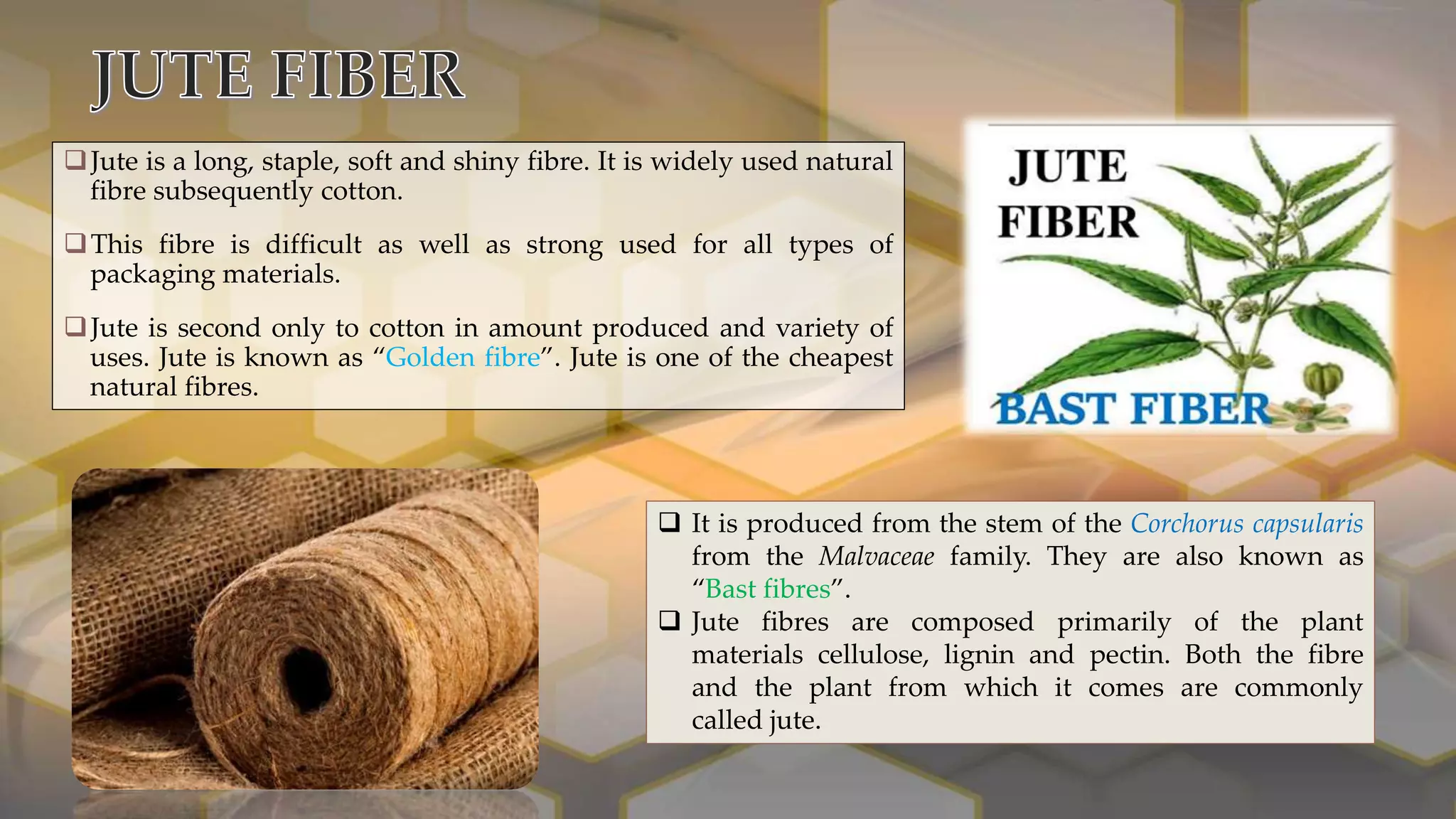Jute fiber - Origin & yarn production.pptx