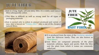 Jute fiber - Origin & yarn production.pptx