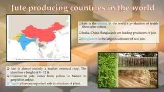 Jute fiber - Origin & yarn production.pptx