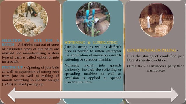 Jute fiber - Origin & yarn production.pptx