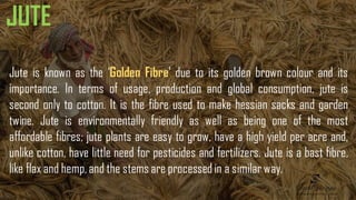 Jute Fiber | PPTX