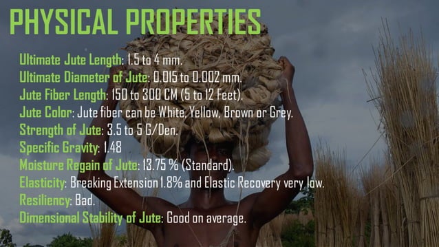 Jute Fiber | PPTX