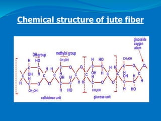 Jute fiber by sohan | PPT