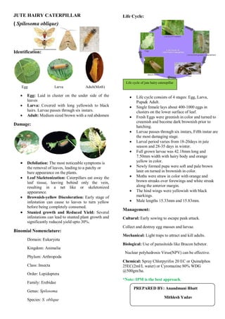 JUTE HAIRY CATERPILLAR (Siplosoma oblique) Bihar hair Caterpillar.pdf