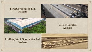 JUTE INDUSTRY in india industrial exposure | PDF
