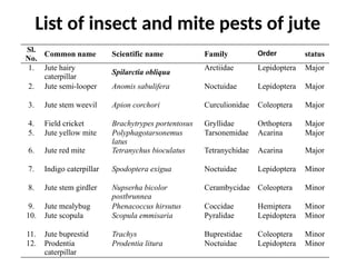 Jute insect, the insect which attack jute plant.pptx