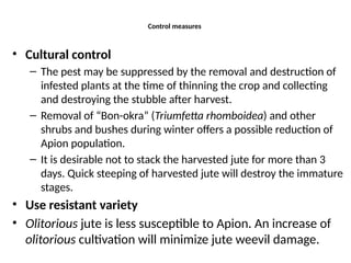 Jute insect, the insect which attack jute plant.pptx