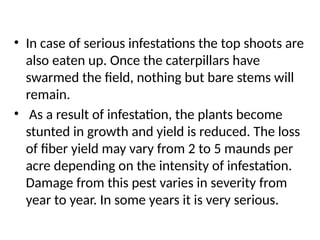 Jute insect, the insect which attack jute plant.pptx