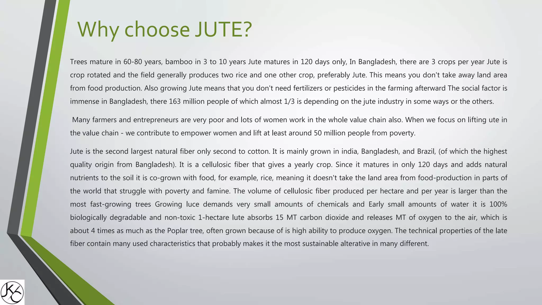 Jute product ppt | PPTX