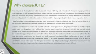 Jute product ppt | PPTX | Agriculture | Industries
