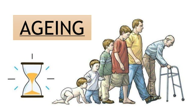 Ageing ppt by.. ..Juthika Das..A student of Hospital Management.pdf