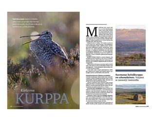 Jutunteon prosessi | PPT