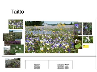 Jutunteon prosessi | PPT