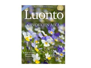 Jutunteon prosessi | PPT