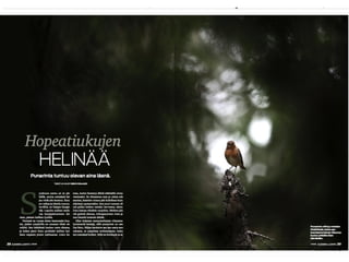 Jutunteon prosessi | PPT