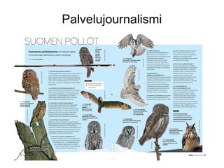 Jutunteon prosessi | PPT