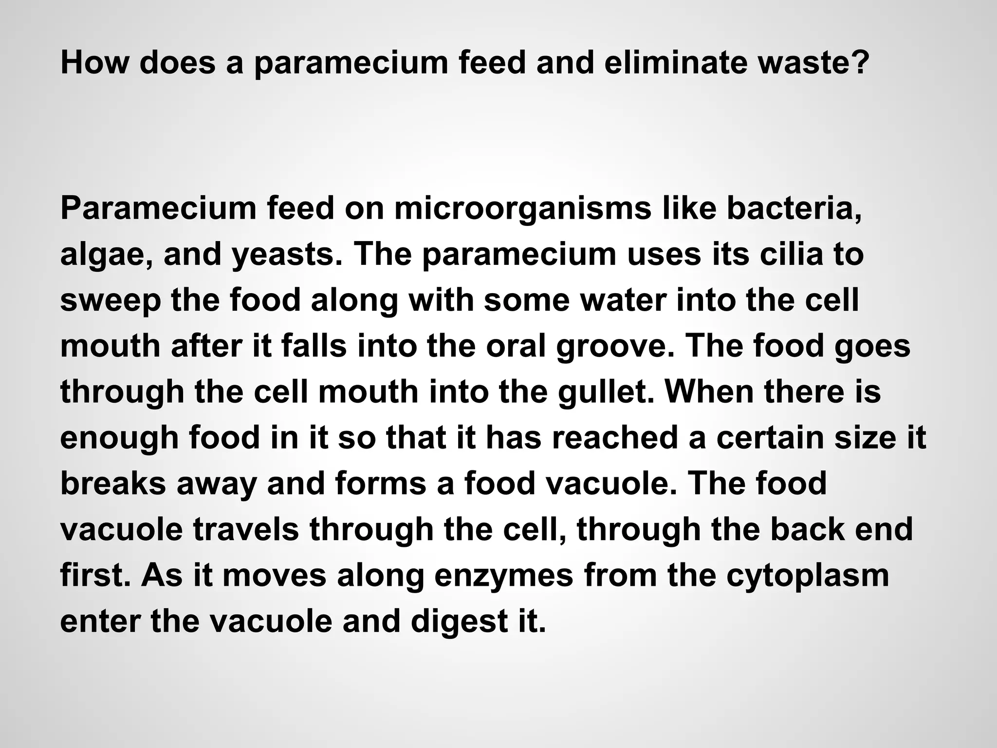 Paramecium | PPTX
