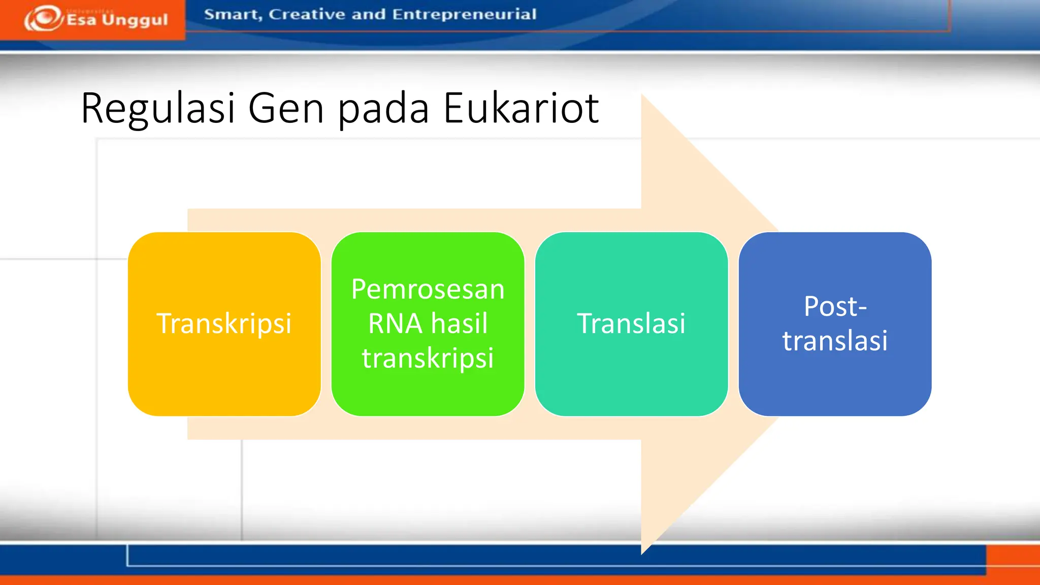 Regulasi_Ekspresi_Gen_Pada_Eukariot-.ppt