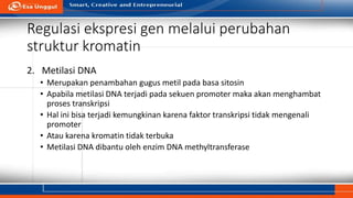 Regulasi_Ekspresi_Gen_Pada_Eukariot-.ppt