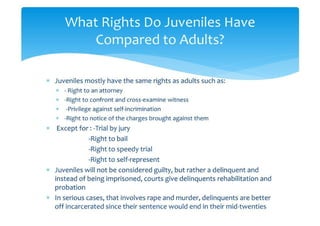 Juvenile Court System | PDF