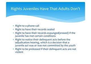 Juvenile Court System | PDF