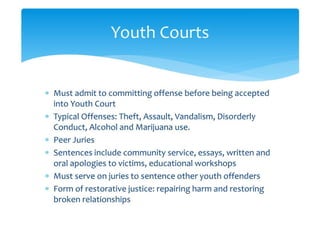 Juvenile Court System | PDF