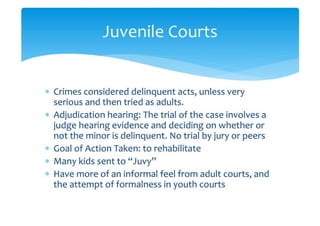 Juvenile Court System | PDF