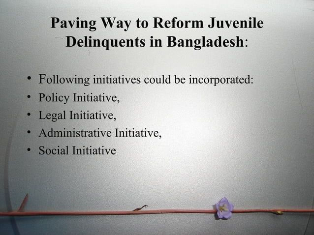 Juvenile Delinquency - Definition, Meaning, Examples, Crimes and ...
