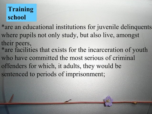 Juvenile Delinquency - Definition, Meaning, Examples, Crimes and ...