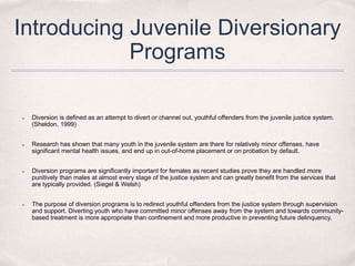 Juvenile Diversionary Programs in Texas | PPTX