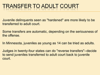 Adult Court System