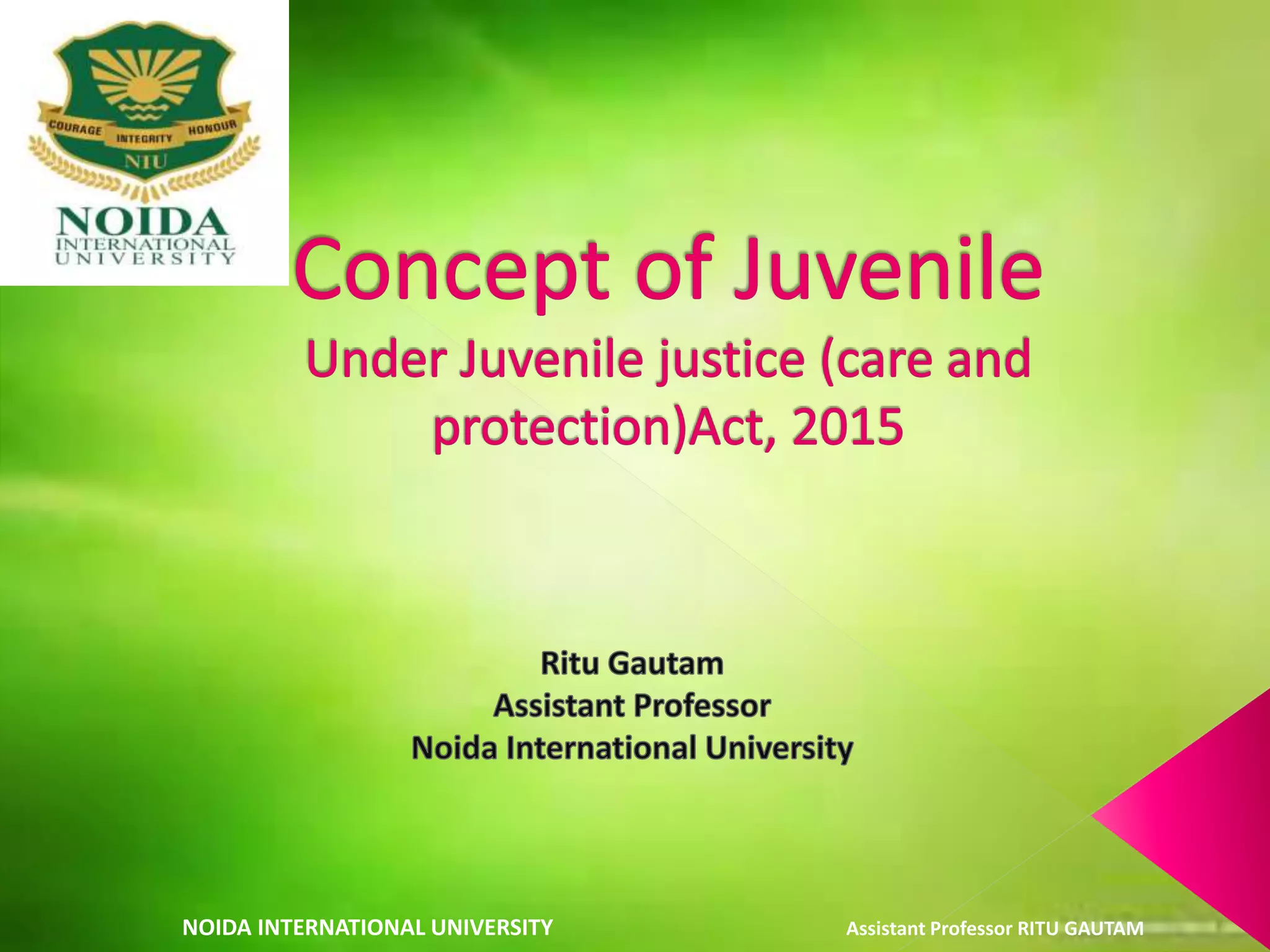 Juvenile justice system | PPTX