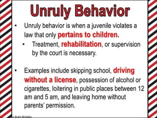 Juvenile Offenders IN RED.pptx