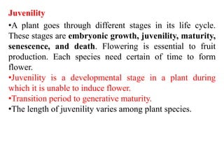 Juvenility & Flower bud Differentiation_040249.pdf