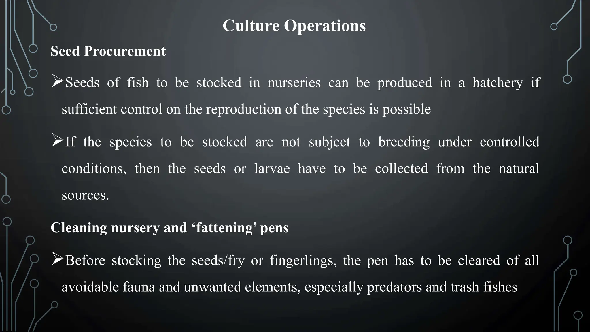 Pen_Culture.pptx