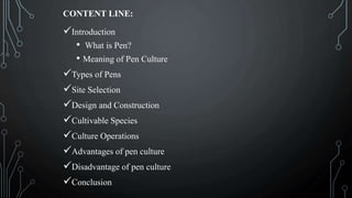 Pen_Culture.pptx