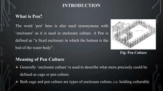 Pen_Culture.pptx