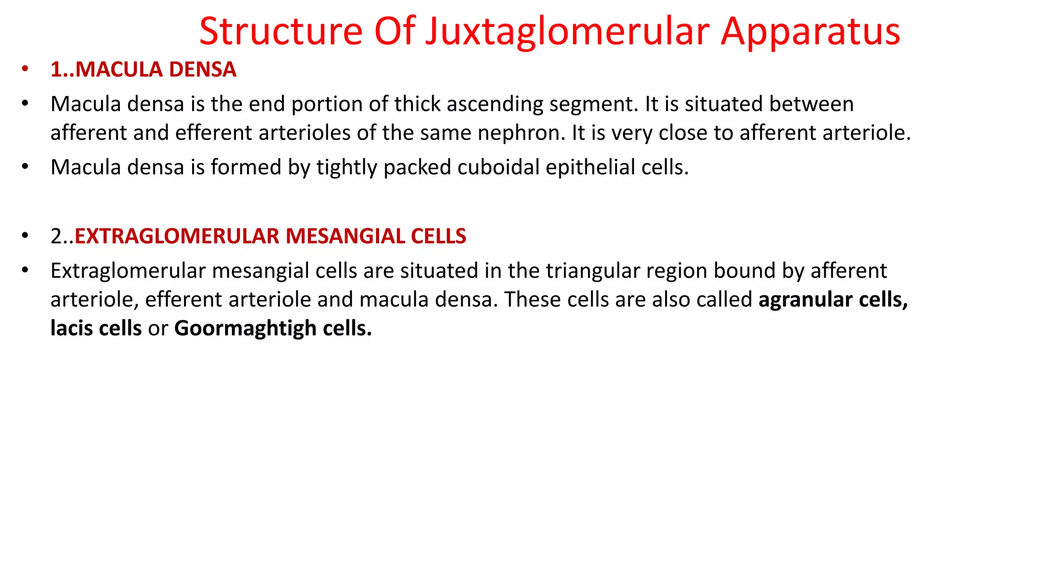 Juxtaglomerular apparatus (The Guyton and Hall physiology) | PPTX