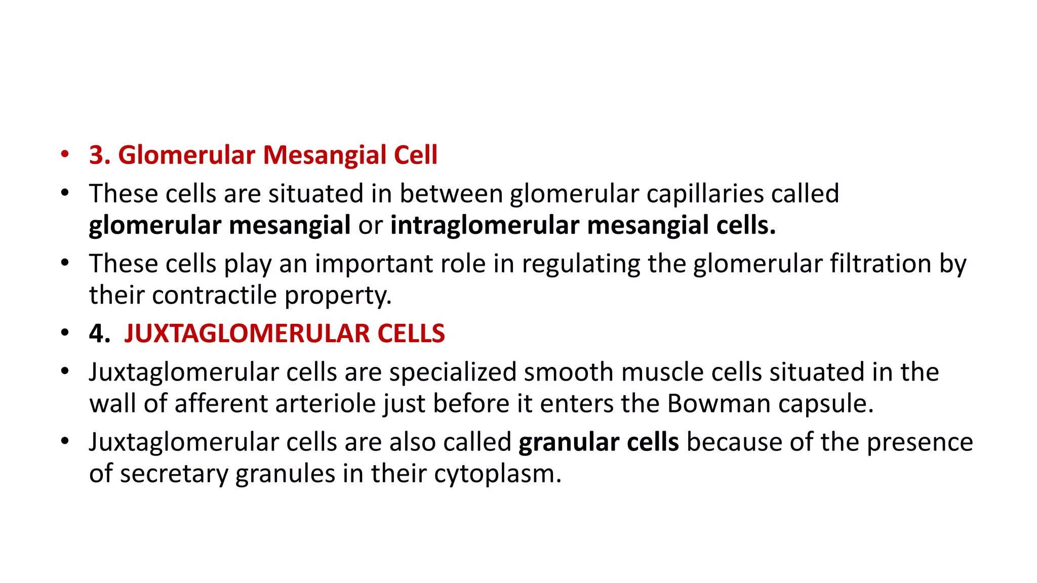 Juxtaglomerular apparatus (The Guyton and Hall physiology) | PPTX